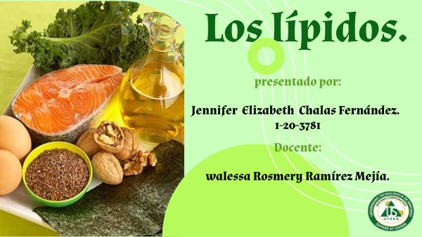 Los lípidos