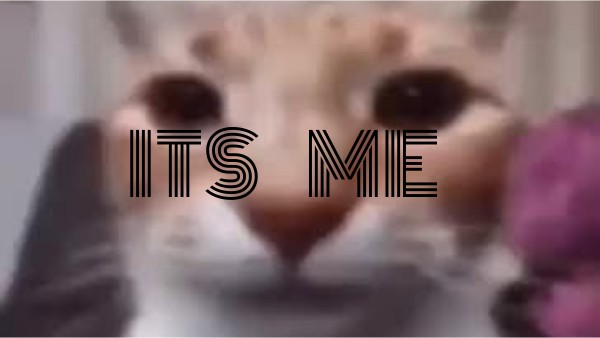 ITS ME