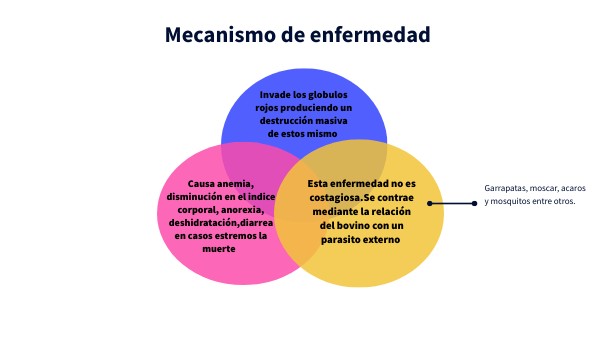 Mecanismo de enfermedad