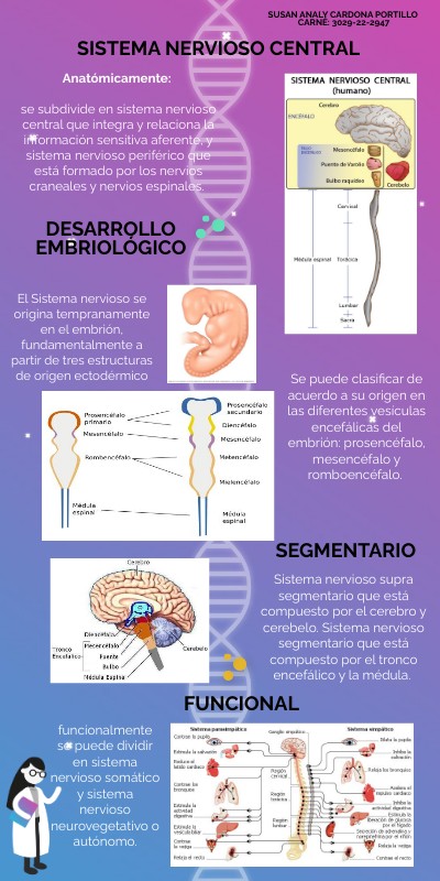 Infografía SNC