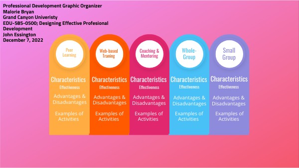 Professional Development Graphic Organizer