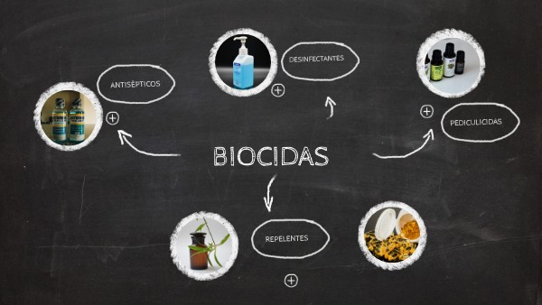 ACTIVIDAD: INFOGRAFÍA BIOCIDAS