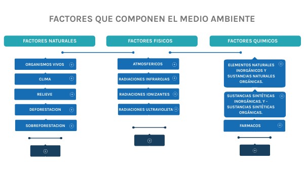 FACTORES MEDIO AMBIENTE