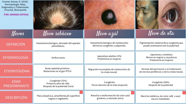 CUADRO COMPARATIVO DE NEVOS