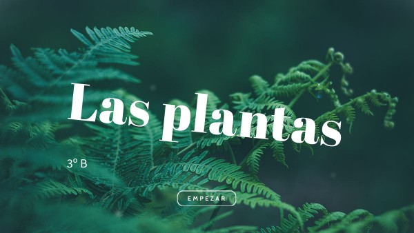LAS PLANTAS