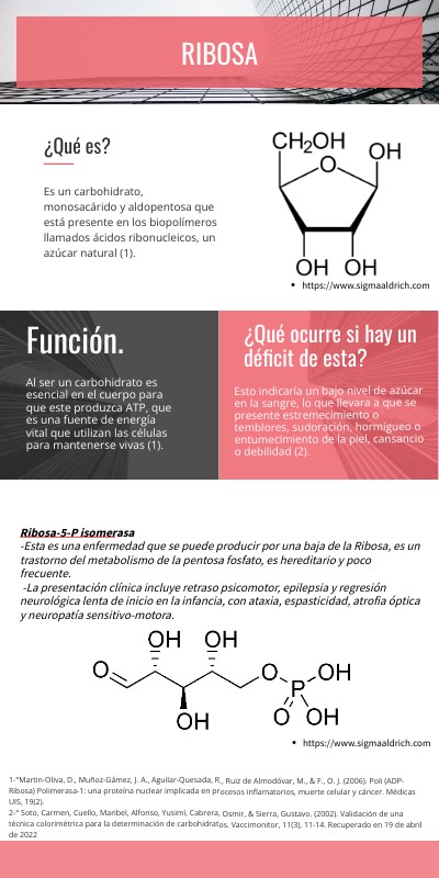 Infografía Ribosa.