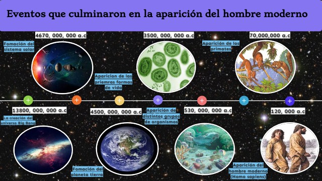 Eventos que culminaron en la aparición del hombre moderno