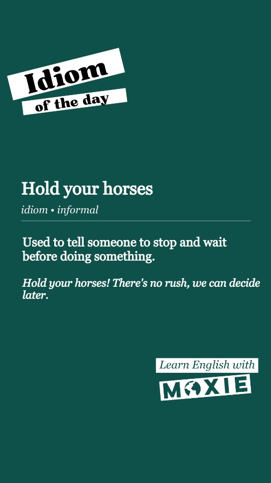 Idiom 61_Hold your horses
