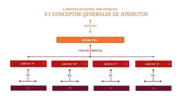 3.CONCEPTOS GENERALES ATRIBUTOS
