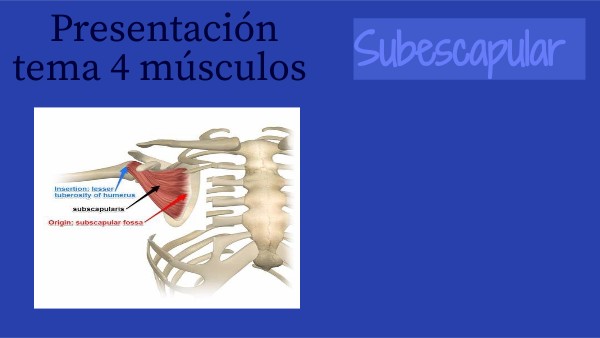 Músculo subescapular