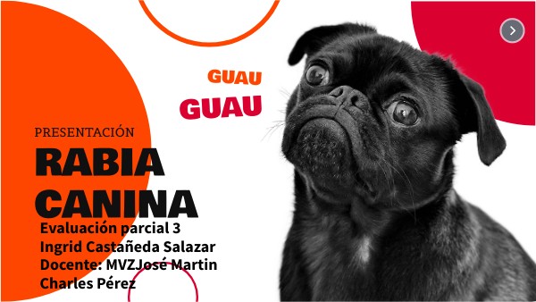 PRESENTACIÓN rabia canina