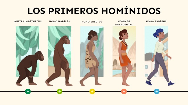Los Primeros Homínidos