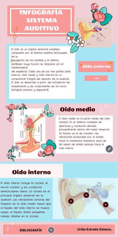 Infografía del sistema auditivo
