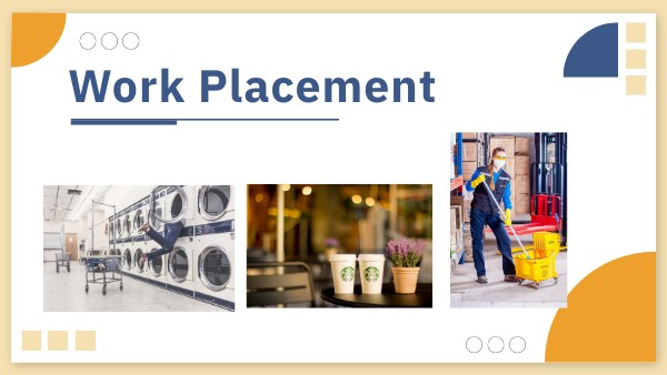 Work Placement