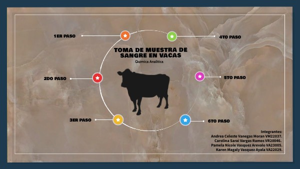 TOMA DE MUESTRA DE SANGRE EN VACAS