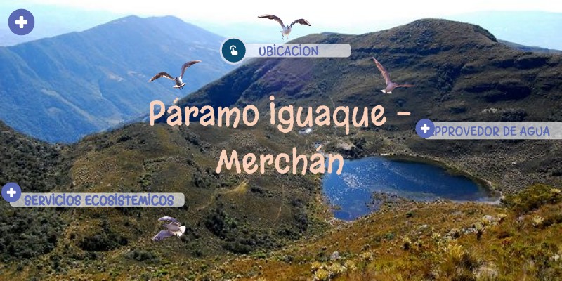 Páramo Iguaque – Merchán