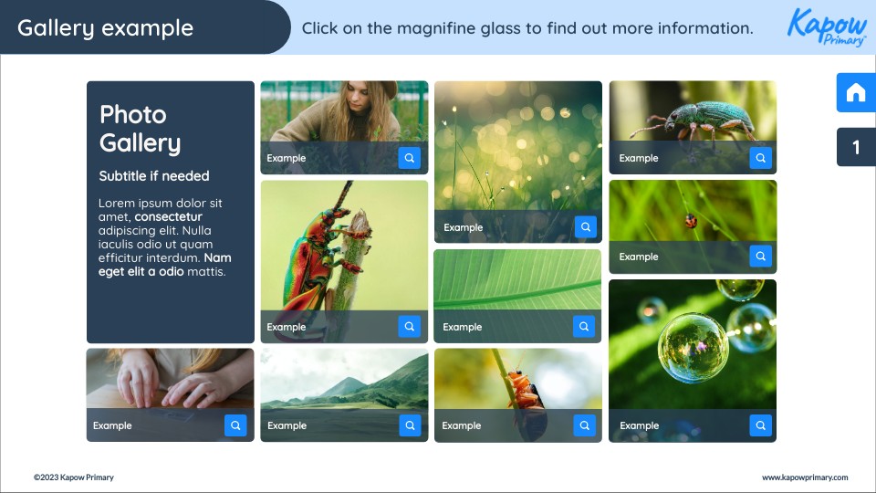 Example image gallery