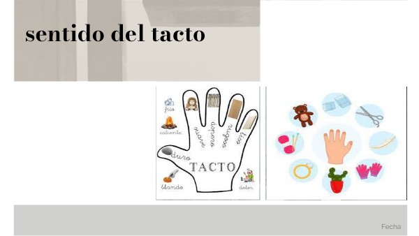 sentido del tacto