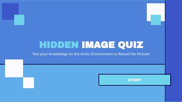 HIDDEN IMAGE QUIZ