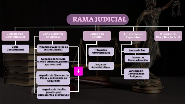 Rama Judicial Estado Colombiano
