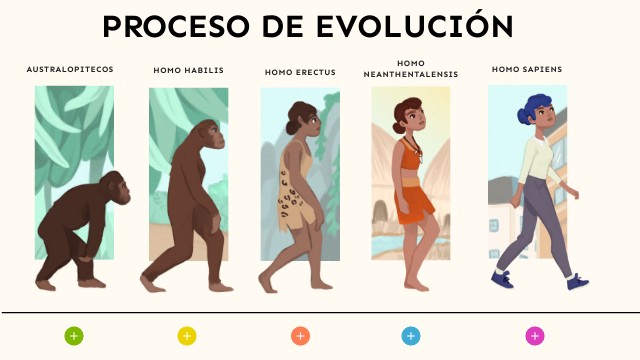 Evolucion del ser humano