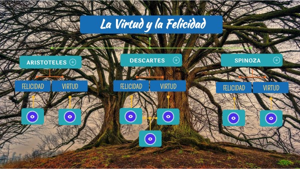 La virtud y la felicidadmapa conceptual