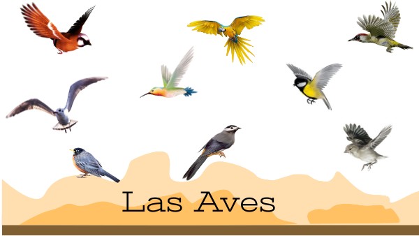Las Aves