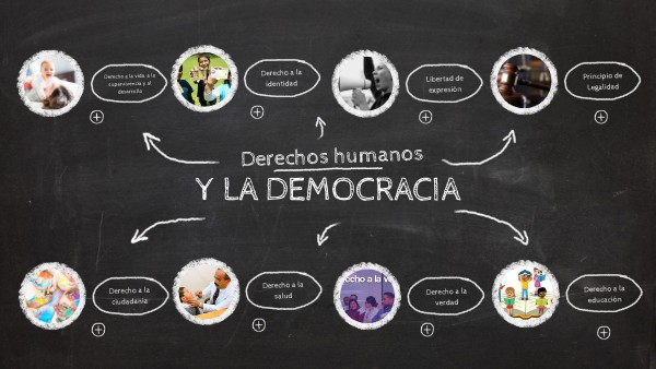 Derechos humanos y la democracia-Alison Lévano Torres