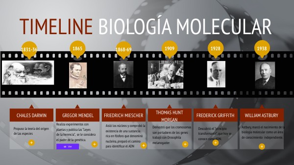 Línea del Tiempo Historia de la Biología Molecular