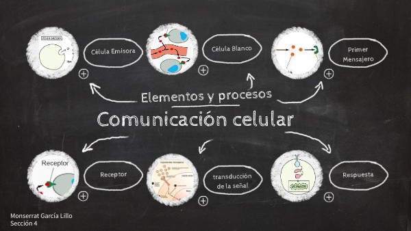 Infografía comunicación celular