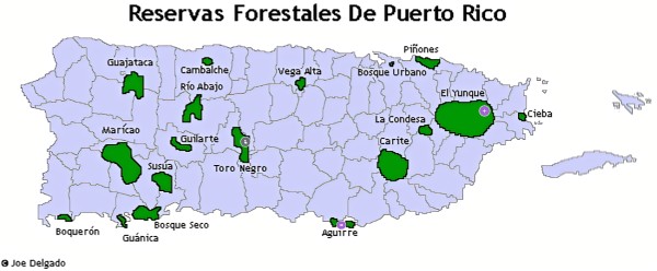 Bosques de Puerto Rico