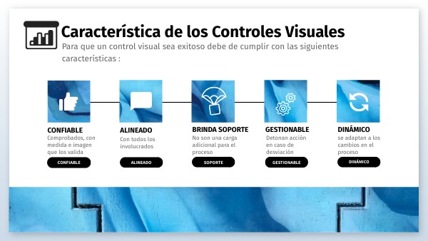 CONTROLES VISUALES