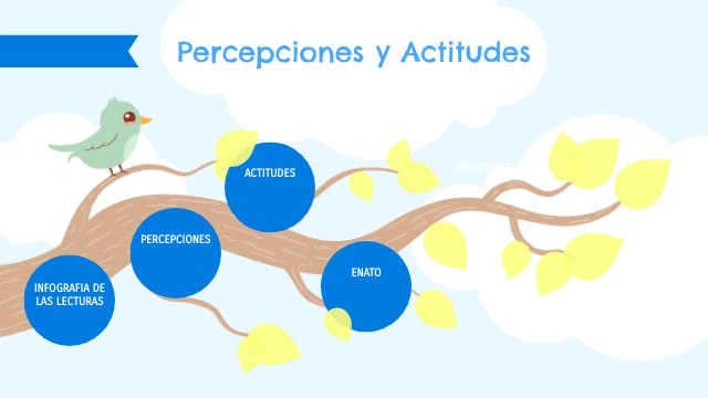 5. PERCEPCIONES ACTITUDES EMOCIONES