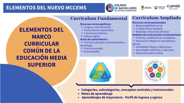 ELEMENTOS MCCEMS EMS