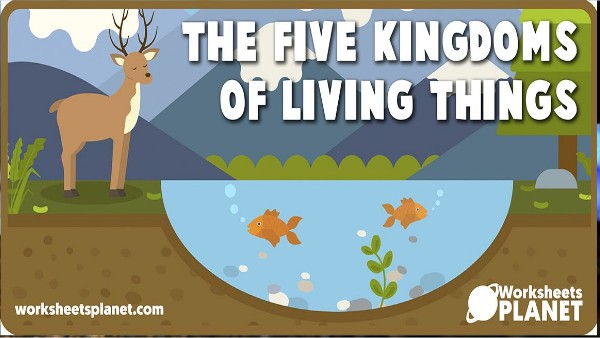 5 kingdoms of living things