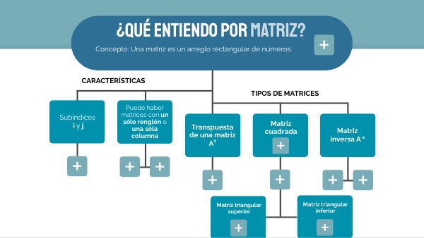 ¿Qué entiendo por Matriz?