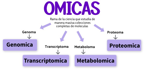 OMICAS