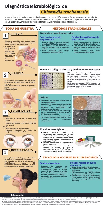 INFOGRAFÍA CHLAMYDIA TRACHOMATIS