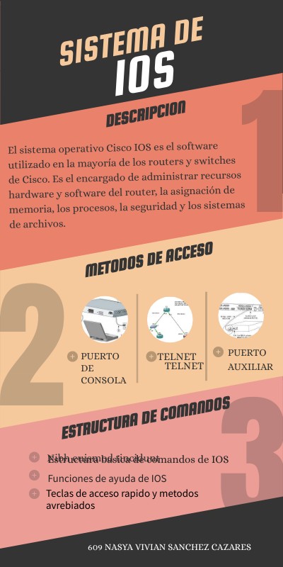 INFOGRAFIA DEL SISTEMA IOS