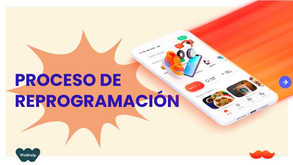 PROCESO DE REPROGRAMACIÓN