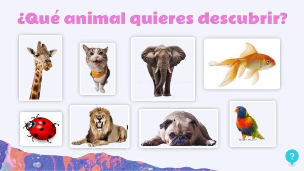 Las partes del cuerpo animales