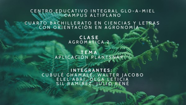 PRESENTACION PLANTSNAP