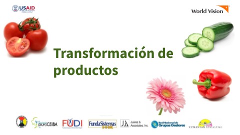 s24 Transformación de producto