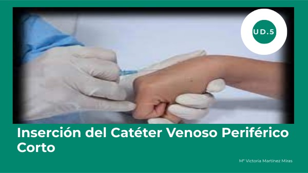 Unidad 5: Inserción del CVPC