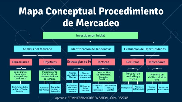 MAPA PROCEDIMIENTO DE MERCADEO