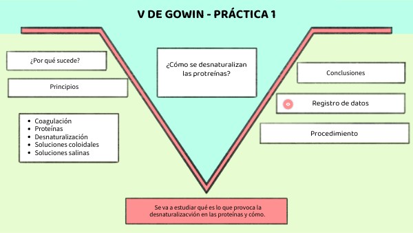 V DE GOWIN