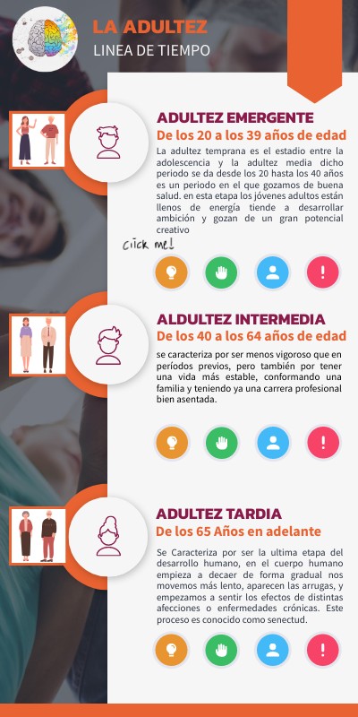 LA ADULTEZ LINEA DE TIEMPO