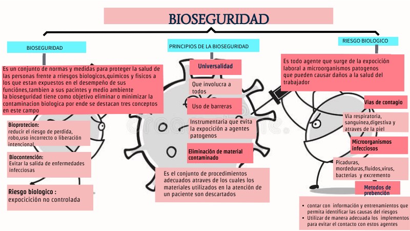 MAPA CONCEPTUAL BIOSEGURIDAD