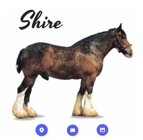Shire