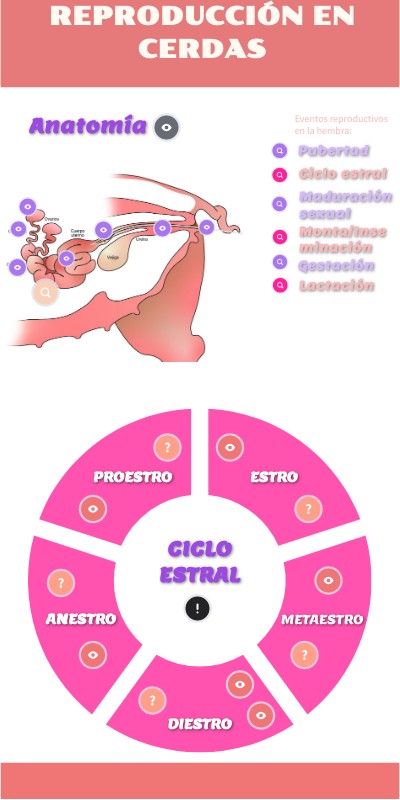 Anatomía y Fisiología de la Cerda
